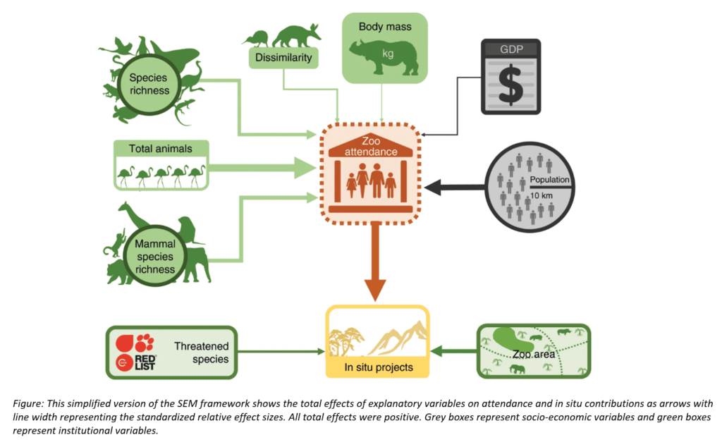 Visiting a Zoo This Week? Research Sheds Light on Why You Go, and the ...
