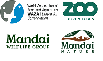 Aquariums worldwide provide data essential to managing corals for ...