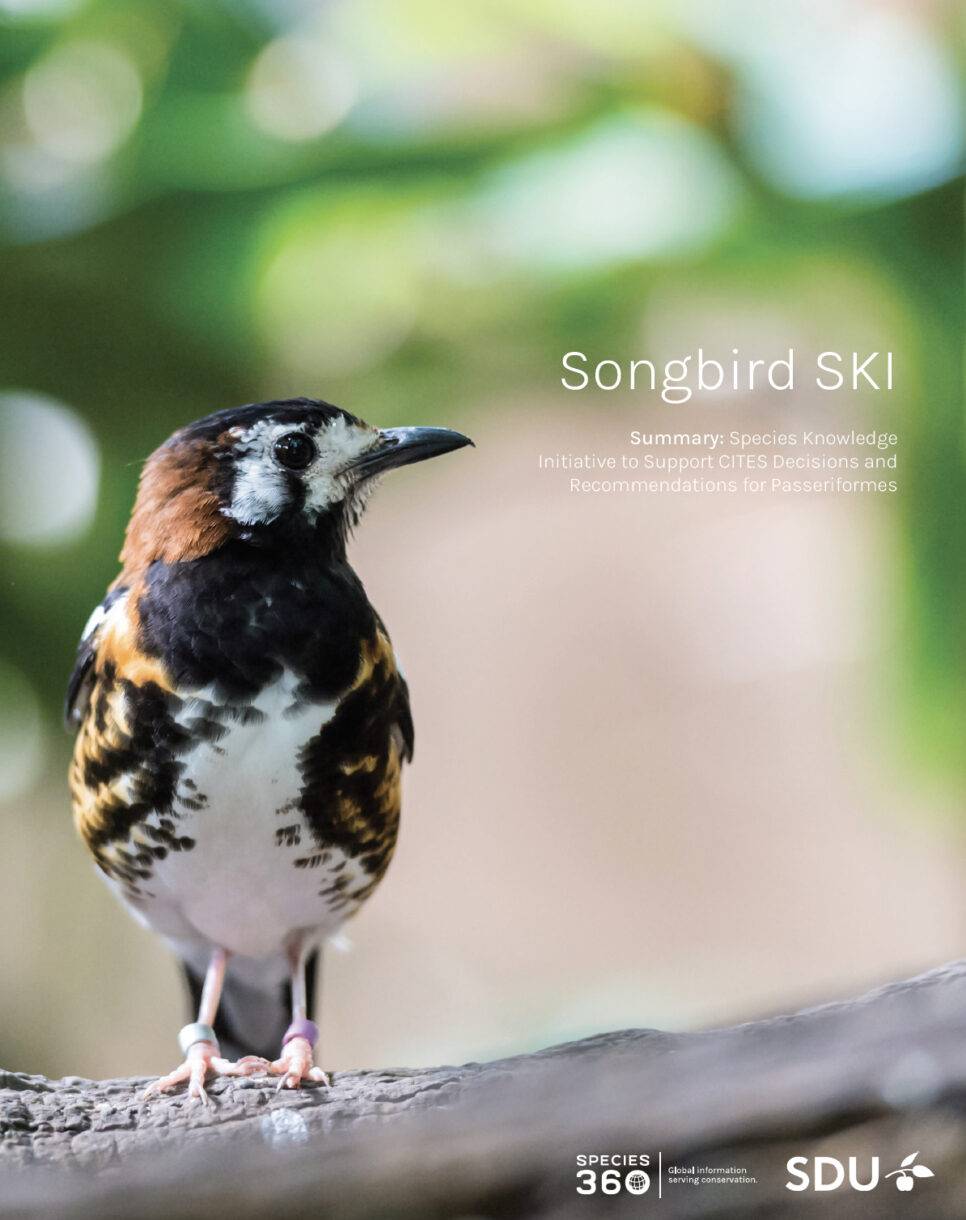 Songbird Species Knowledge Initiative - Serving Conservation - Species360