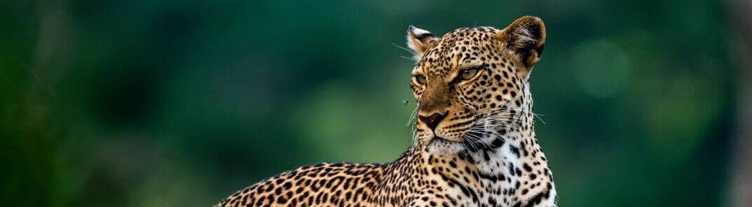 About the Species360 Conservation Science Alliance - Serving Conservation - Species360